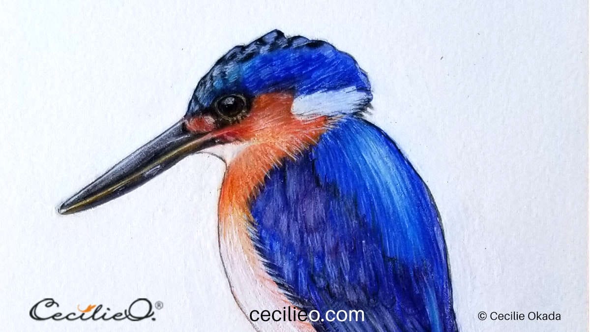how to draw realistic drawings with colored pencils