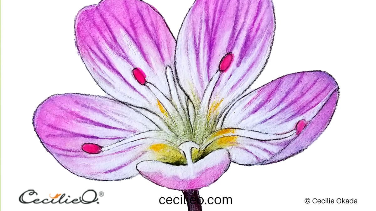 how to draw flowers watercolor