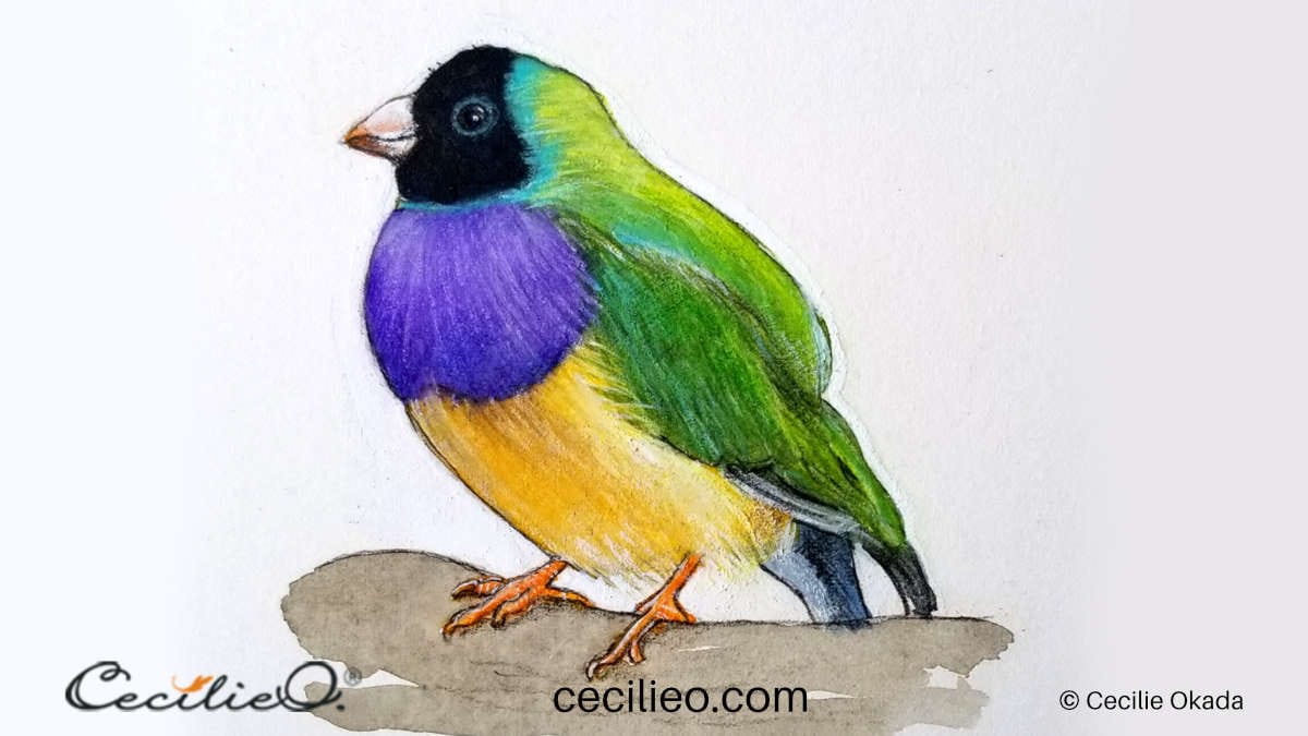 How to Watercolor a Realistic Bird: Colorful Finch