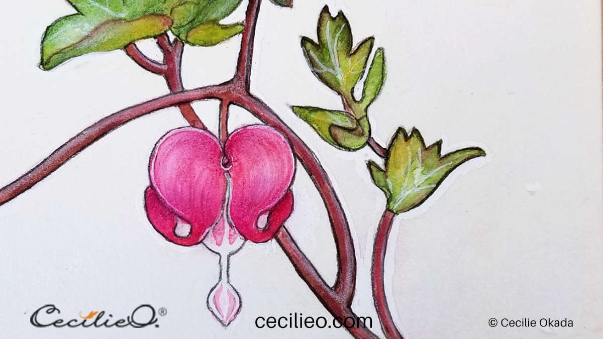 how to draw heart flower