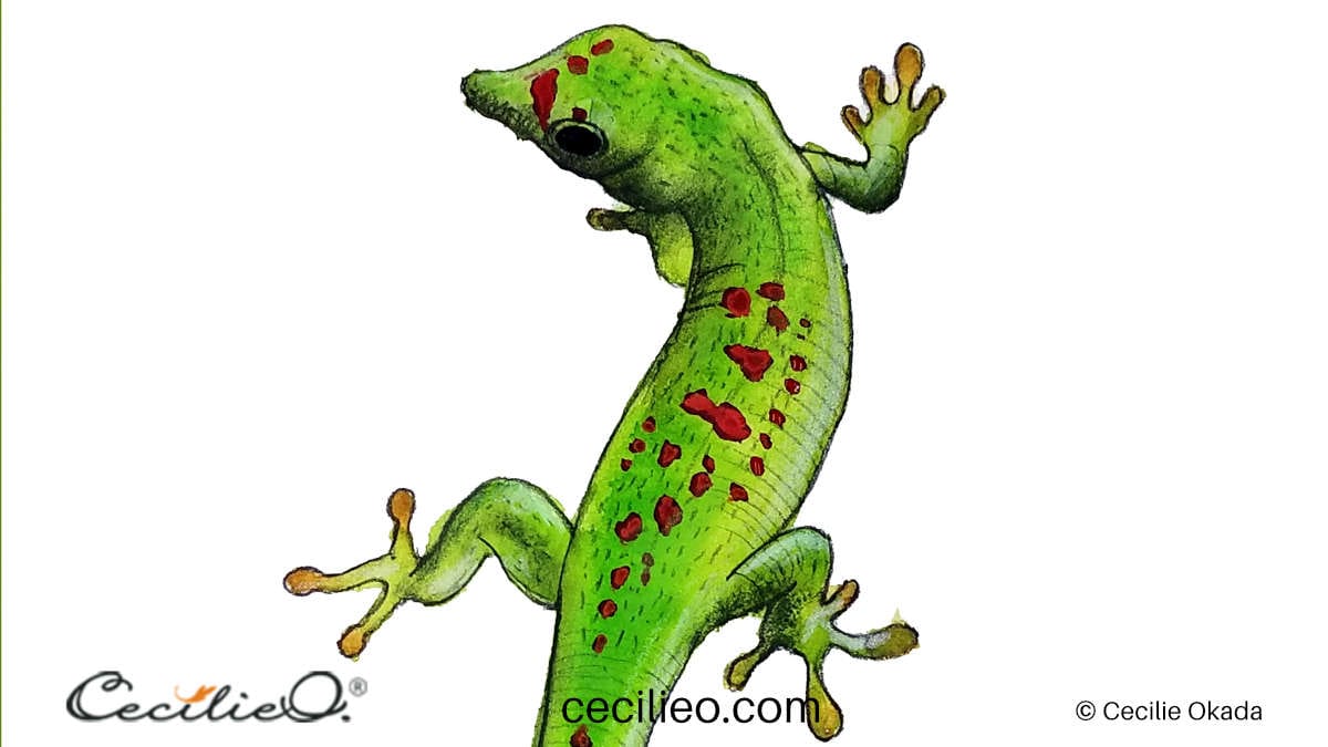 Easy Watercolor Painting in 5 Steps: Green Gecko