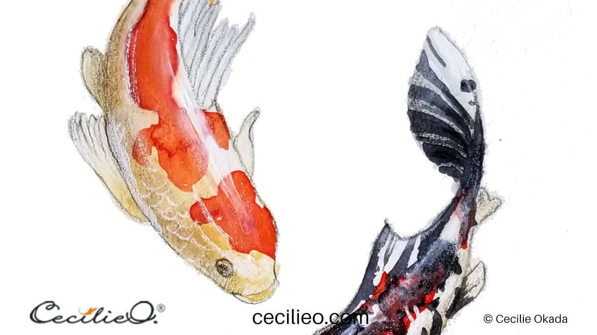 how to draw fish with watercolor