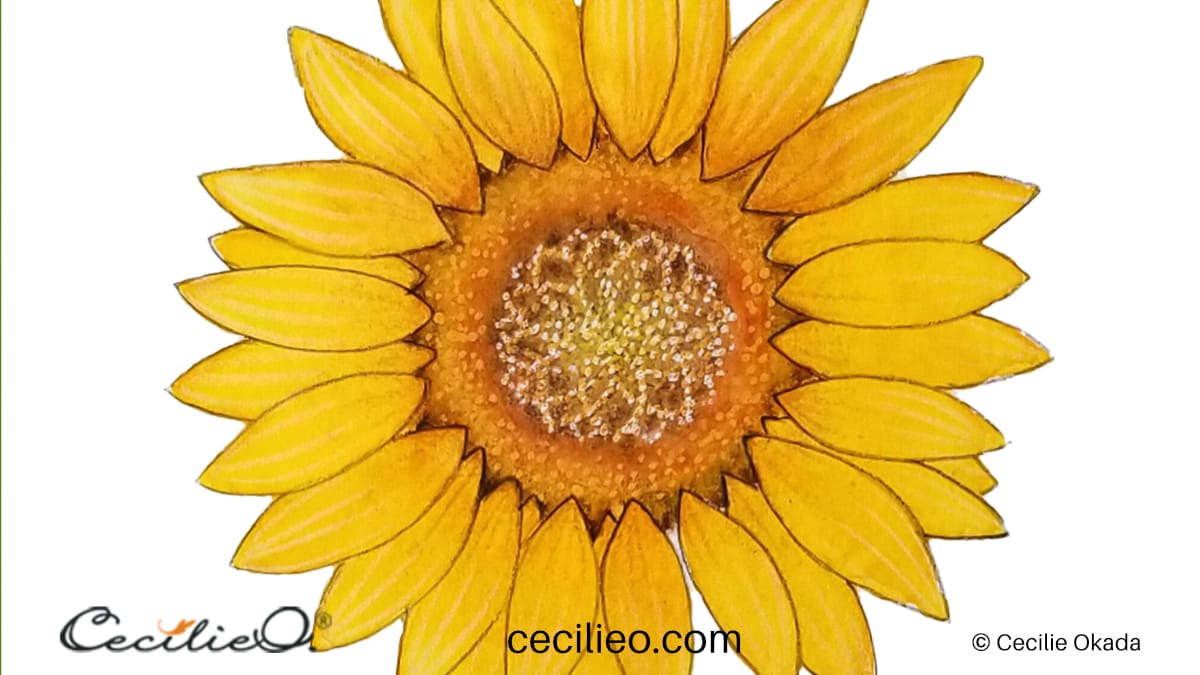 How to Draw a Sunflower With a Freehand Golden Ratio Spiral