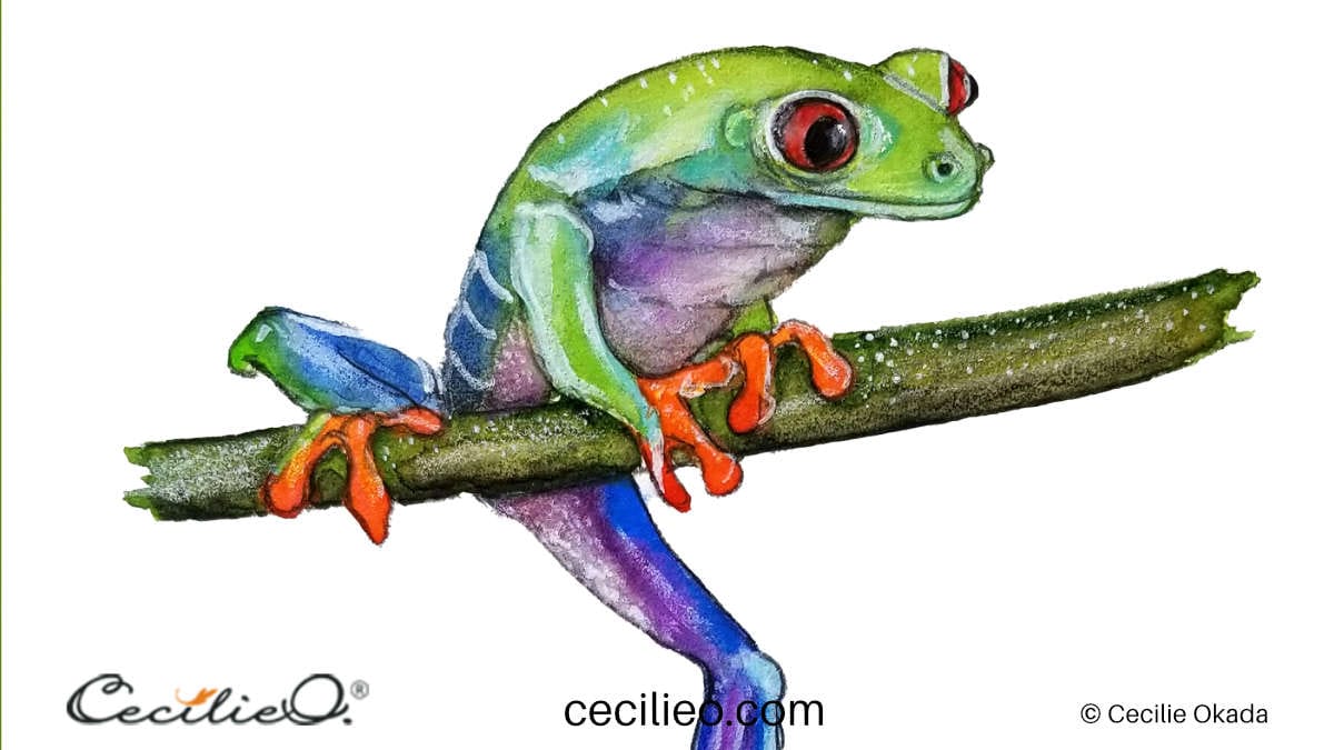 how to draw a tree frog step by step