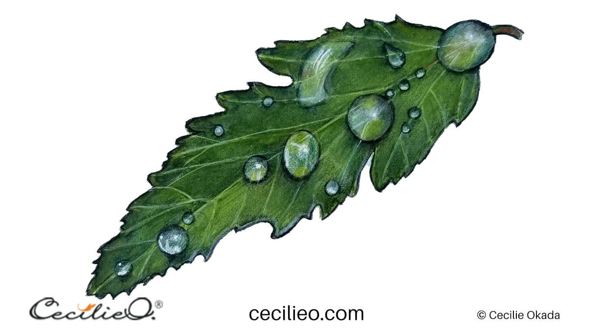 how to draw water drop step by step