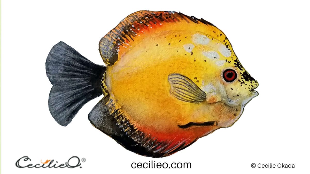 how to draw a yellow fish