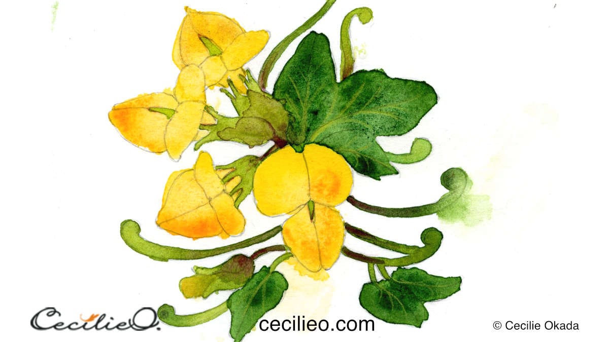 pretty simple flower