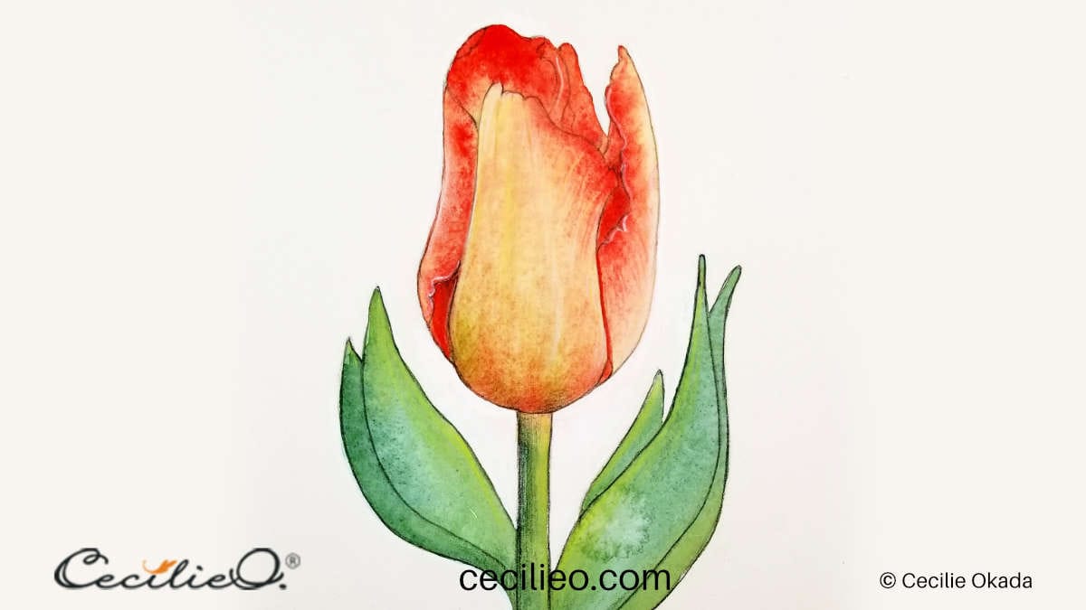 watercolour tulips tutorial