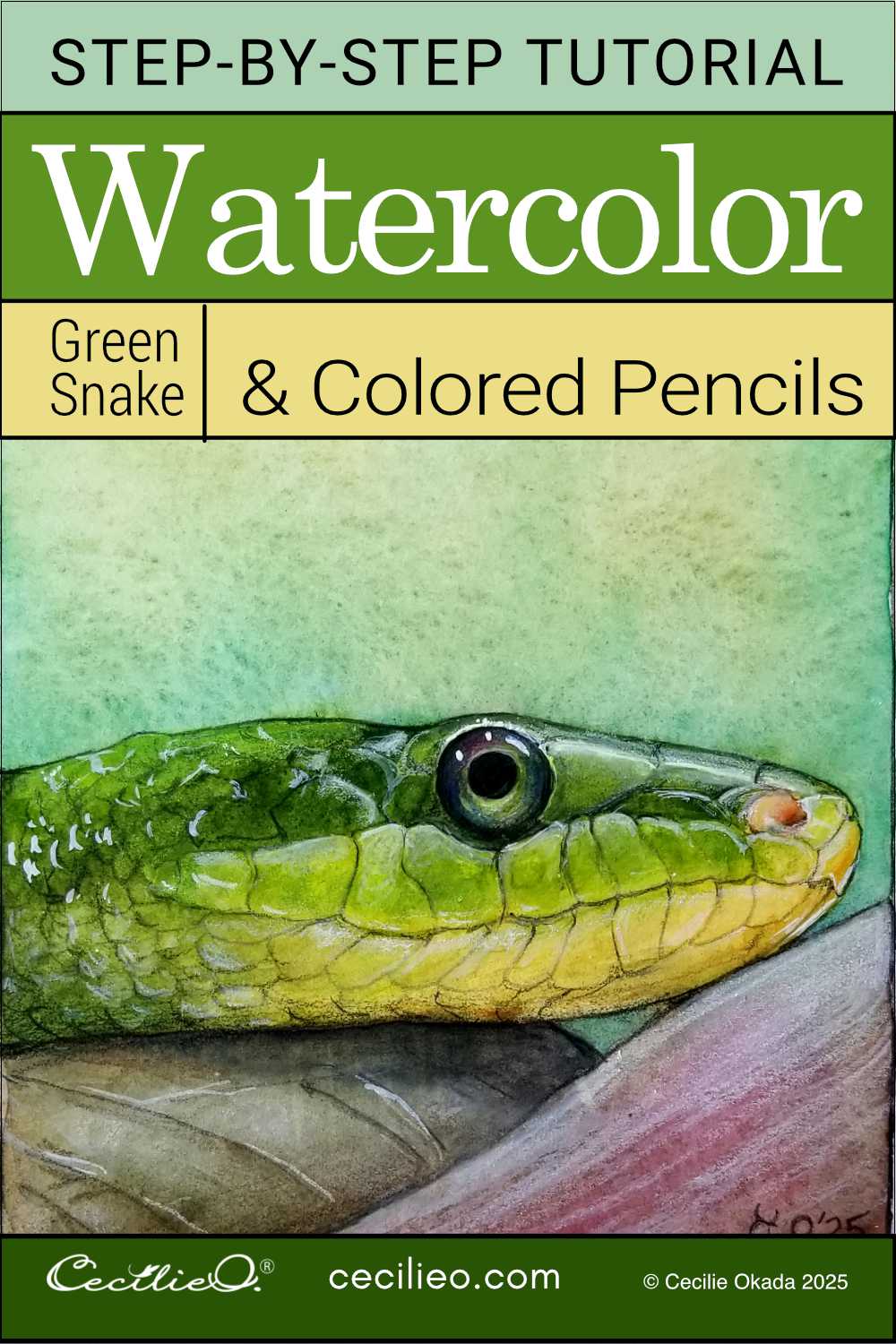 Gentle Serpent: Watercolor & Colored Pencils Tutorial