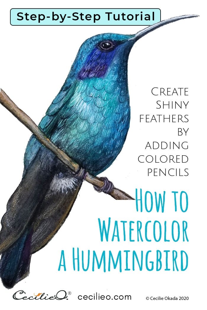Bird Watercolor & Drawing Tutorials