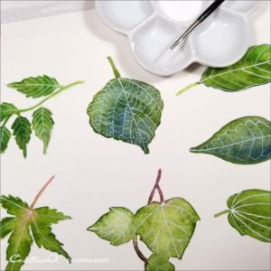 The Little Known and Easy Way to Watercolor Leaves