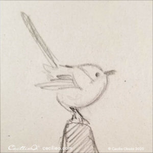 5 Quick Tips For Keeping a Daily Sketchbook