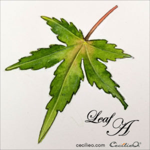 The Little Known and Easy Way to Watercolor Leaves