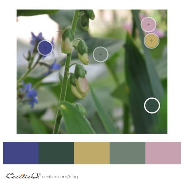 How to Paint an Illuminated Letter E With Watercolor Gold