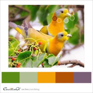 Illuminated Letter D Watercolor Tutorial