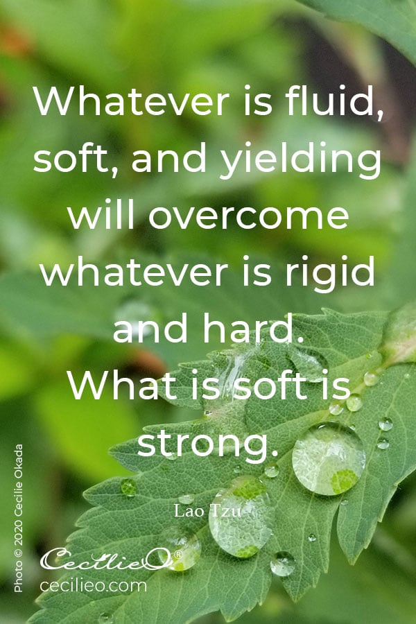 Quotes on Meditation & Spirituality to Find the Secret of Calm