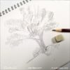 How to Watercolor Trees in 3 Easy Steps