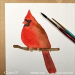 Drawing with Colored Pencils: Realistic Cardinal Tutorial