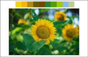 Free, Easy Artist Tool: Create a Color Palette From Image