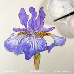 How to Watercolor a Purple Iris Flower