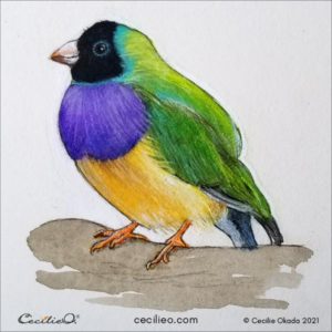 How to Watercolor a Realistic Bird: Colorful Finch