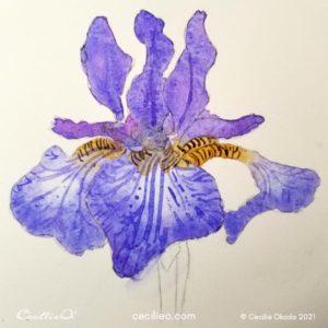 How to Watercolor a Purple Iris Flower