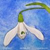 Watercolor Spring Flower Tutorial: Snow Drop