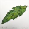 How to Paint a Water Drop in Watercolor: Leaf Study