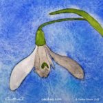 Watercolor Spring Flower Tutorial: Snow Drop