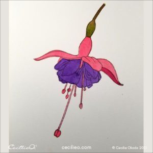 Watercolor Fuchsia Tutorial: A Beautiful Blossom