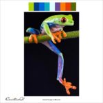 Colorful Little Creature Watercolor Tutorial: Tree Frog