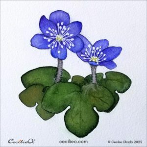 How to Watercolor an Iconic Spring Flower