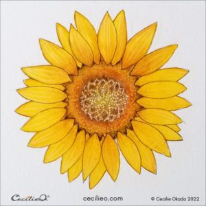 How to Draw a Sunflower With a Freehand Golden Ratio Spiral
