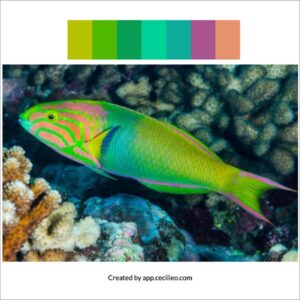 Mindfulness in Art: Paint Sparkling, Colorful Fish