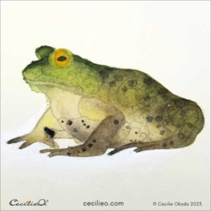 Paint a Stunning Bullfrog With Watercolor & Colored Pencils