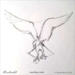 How to Draw a Bird in Flight