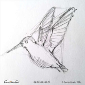 How to Draw a Bird in Flight