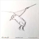 How to Draw a Bird in Flight