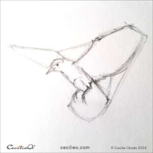 How to Draw a Bird in Flight